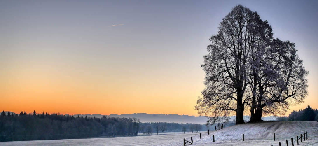 SeaTable 3.4: Dynamic page design, additional search functions and improved web forms